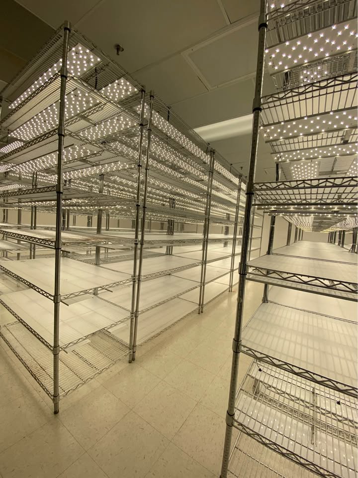 LED Lighted Grow Racks 2’x4’x7’tall ULine NSF 8 shelves 7 lighted sold ...